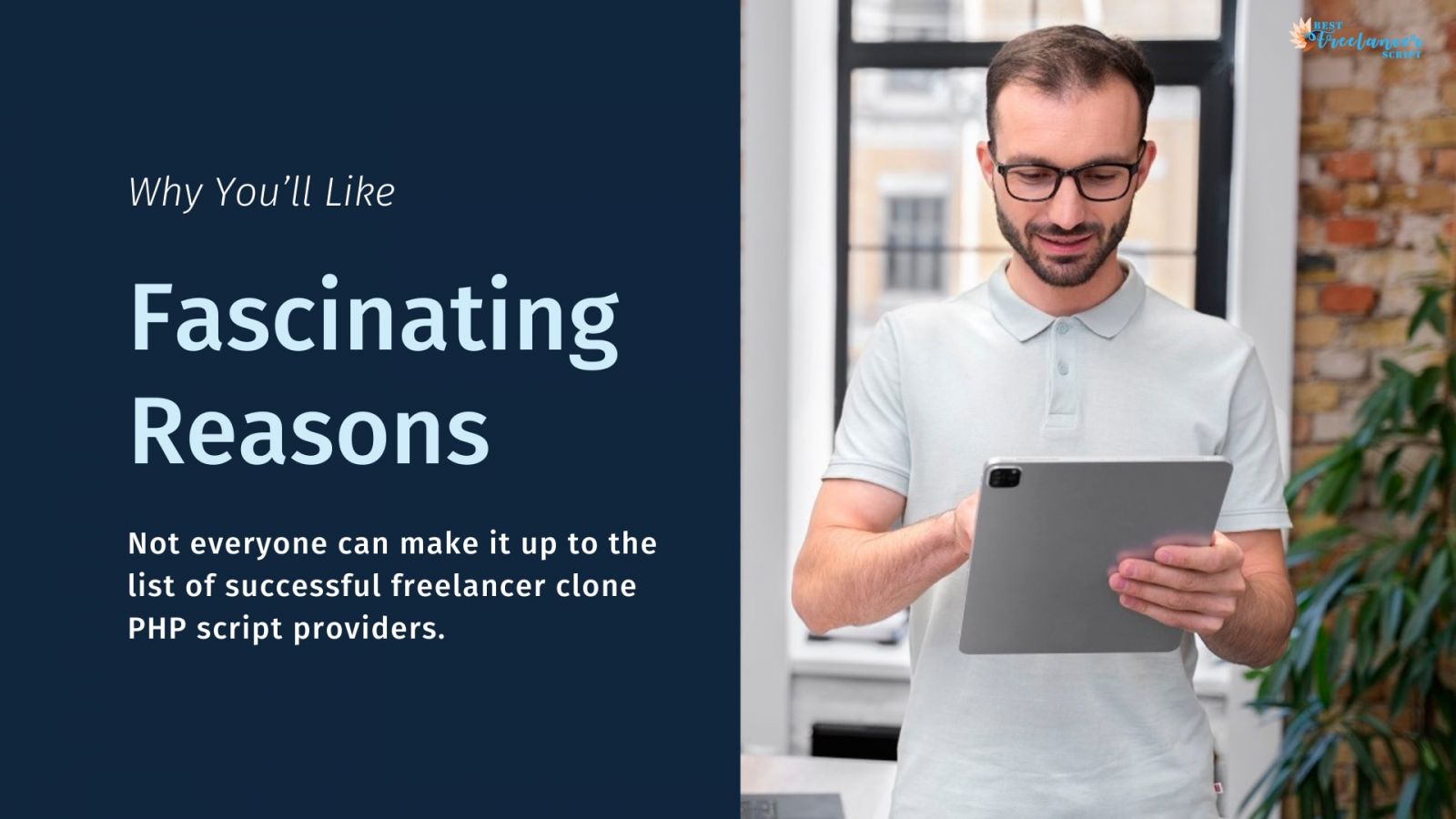 5 Fascinating Reasons why You’ll Like Our Freelancer Clone PHP Script